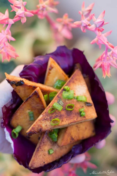 Ginger Garlic Tofu Triangles Recipe | The Friendly Vegan