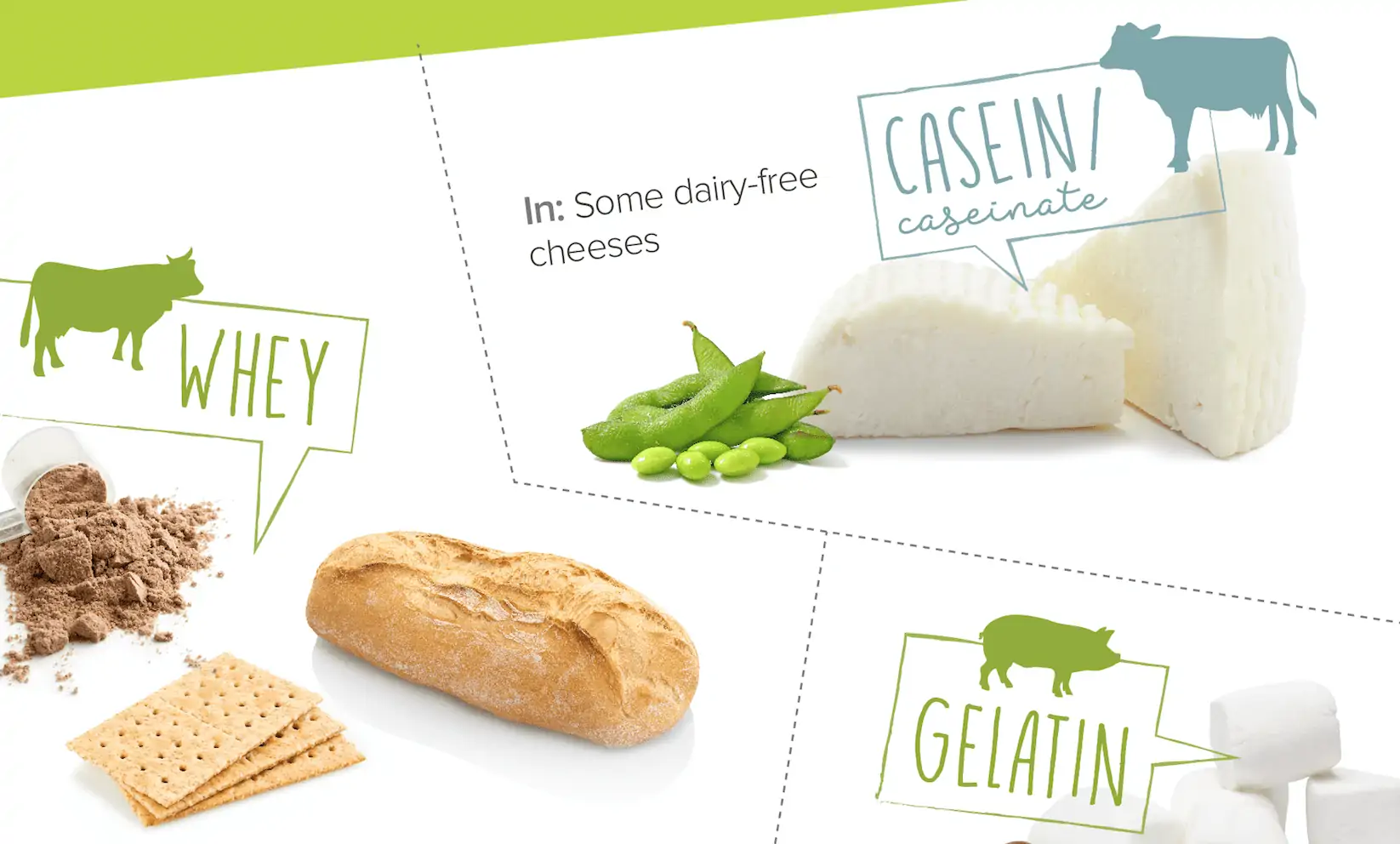 Vegan Gelatin {Agar Agar, Vegan Jello, and More} | World of Vegan