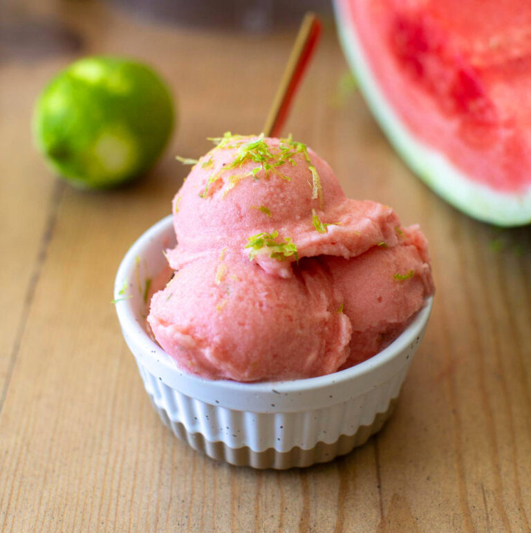4-Ingredient Watermelon Gelato | World of Vegan