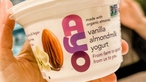 30+ Best Vegan Yogurt Brands (Ultimate Guide) | World of Vegan