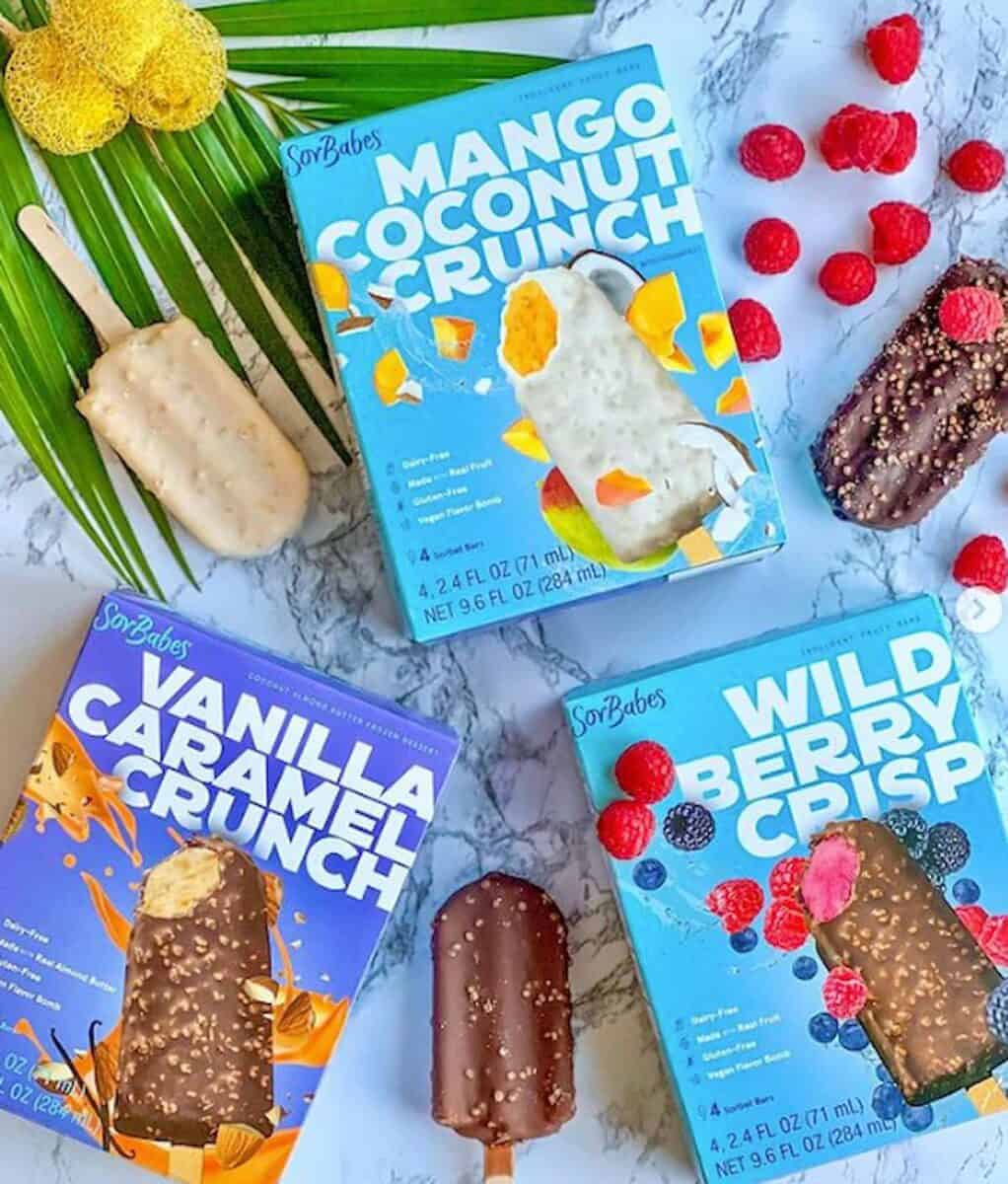 30+ Best Dairy-Free Ice Creams