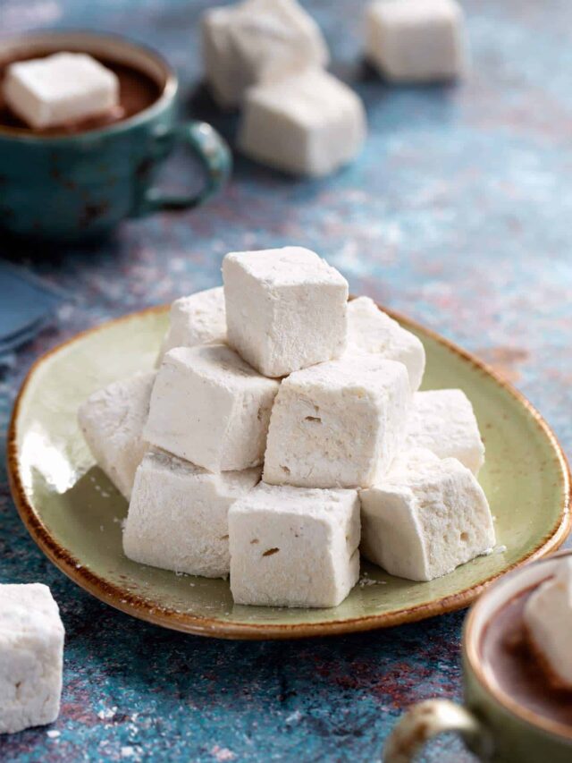 Vegan & Vegetarian Marshmallows — Best Brands & Recipe