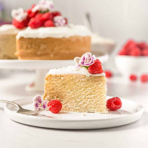 Vegan Sponge Cake