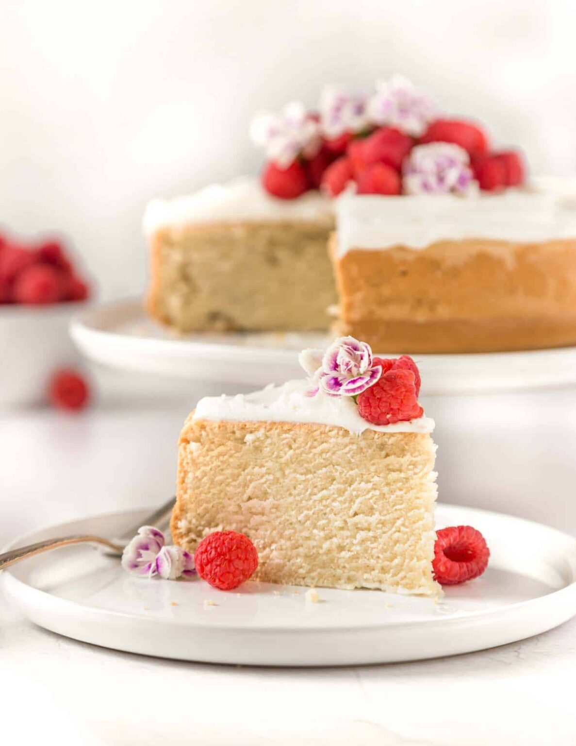 Basic Vanilla Sponge Cake {Vegan + Eggless}