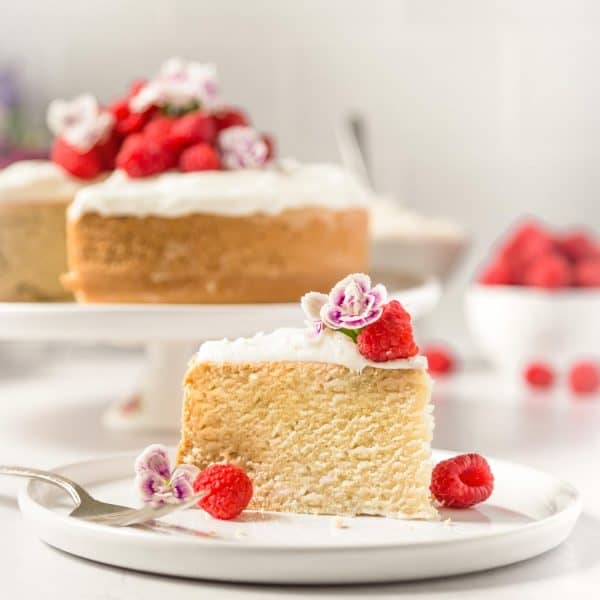 Basic Vanilla Sponge Cake {Vegan + Eggless}