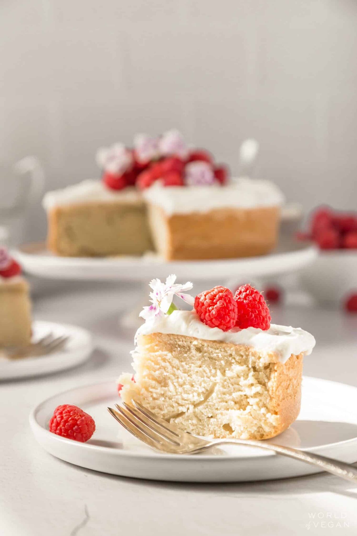 Vegan Sponge Cake