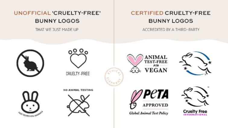 Best Vegan Makeup Brands (100% Cruelty-Free)