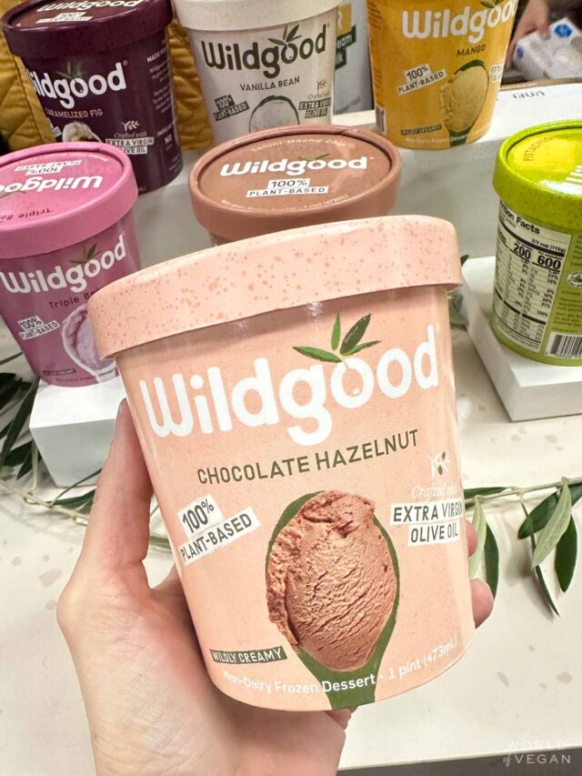 30+ Best Dairy-Free Ice Creams
