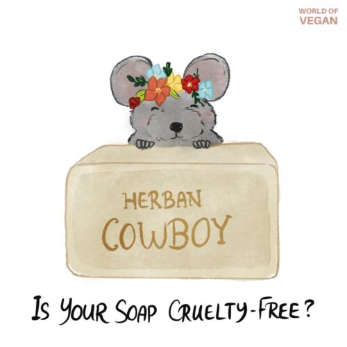 Vegan Soap {Best Cruelty-Free Brands}
