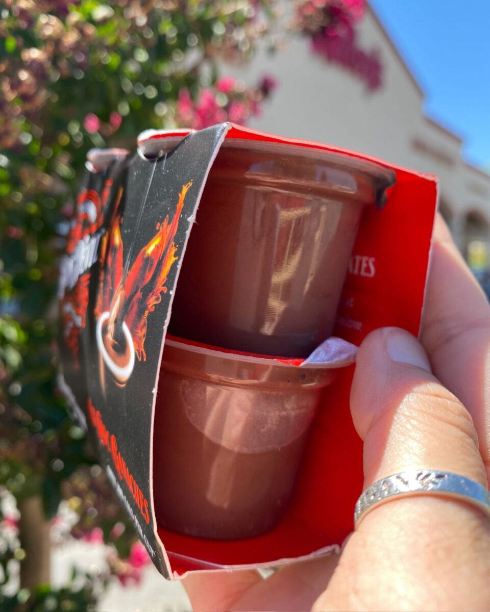 Vegan Pudding (Easy Recipe + Best Brands) | World of Vegan