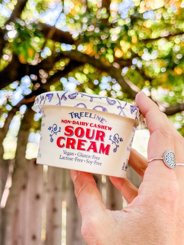 12 Best Dairy-Free Sour Cream Brands & Recipes | World of Vegan