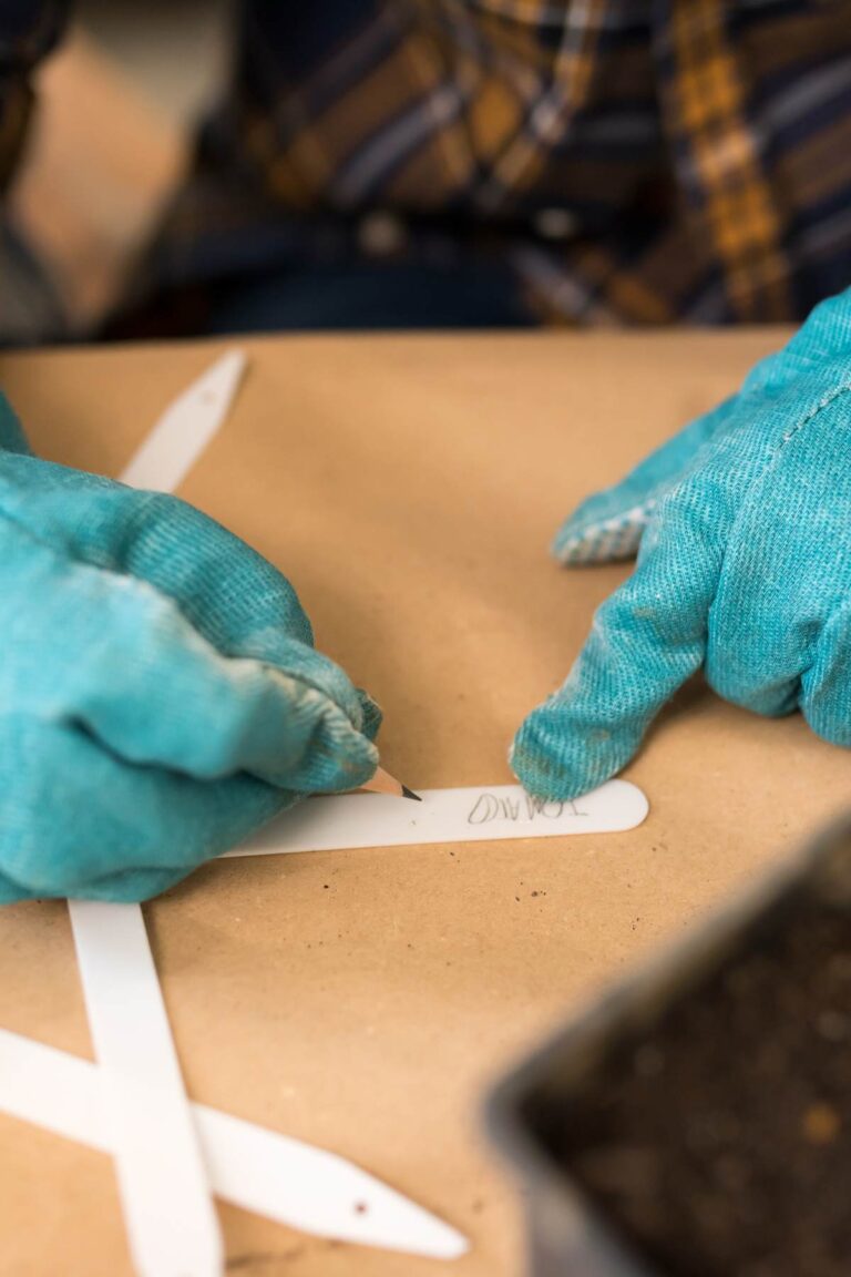 How To Start Seeds Indoors (Everything You Need To Know!)
