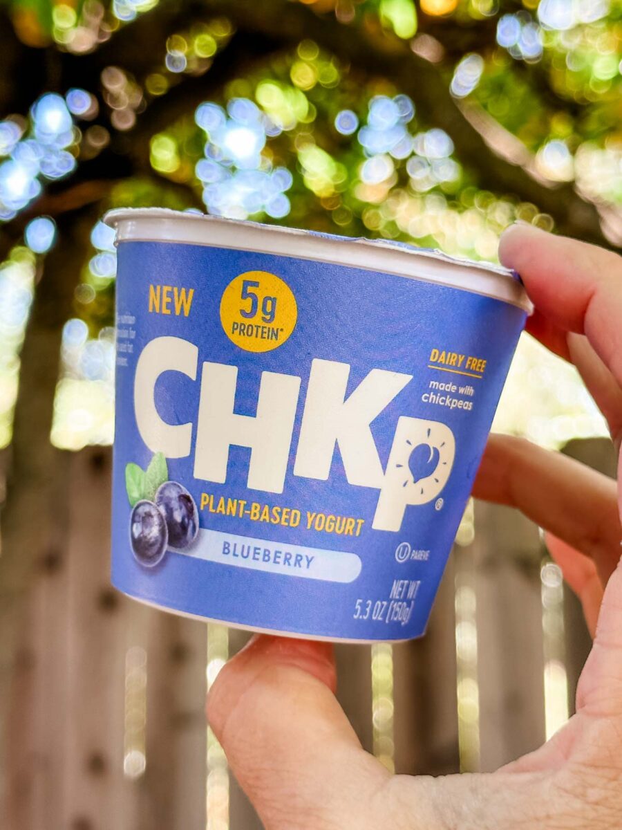 30+ Best Vegan Yogurt Brands (Ultimate Guide) | World of Vegan