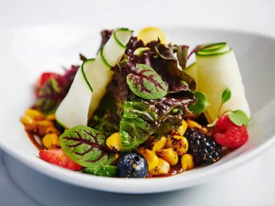 12 Top Vegan Cruises For The Ultimate Sailing Experience | World of Vegan