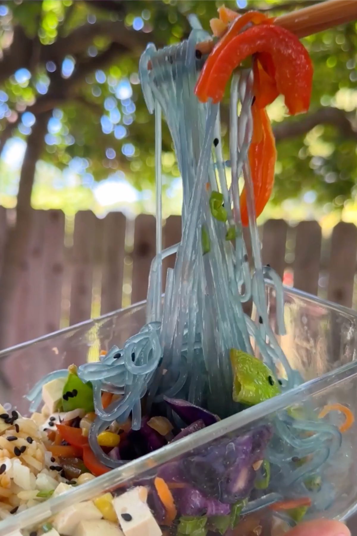 Glass Noodle Recipe | World of Vegan