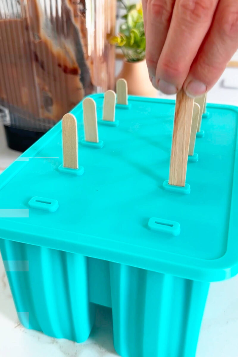 Fudgesicles | World of Vegan