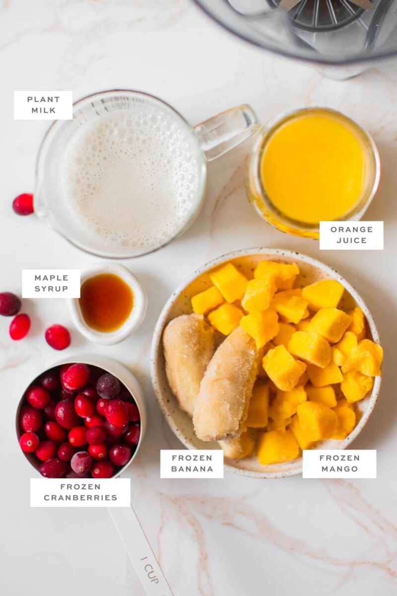 Cranberry Smoothie | World of Vegan